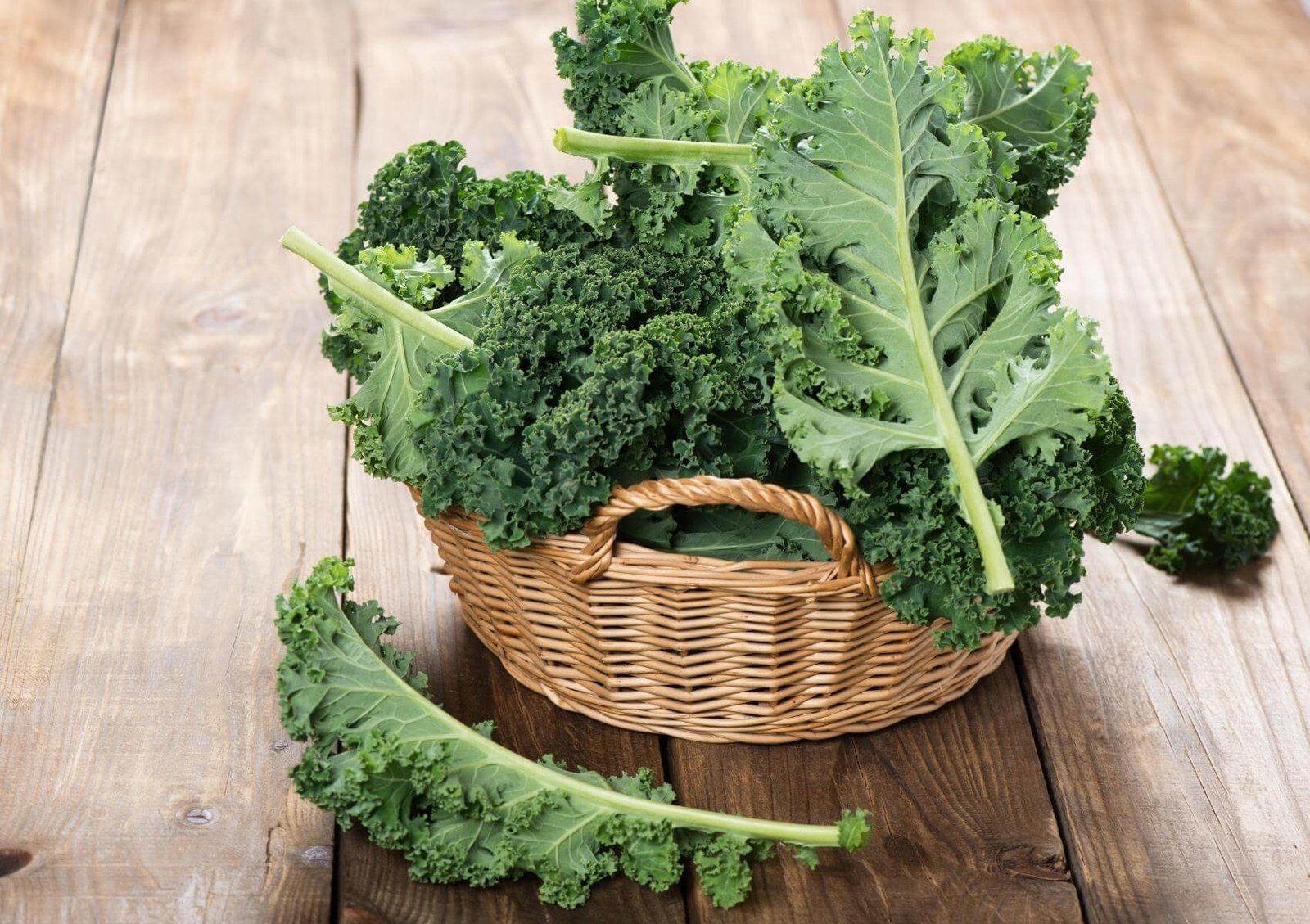 10 Verduras con más proteínas - Fuertes con leche